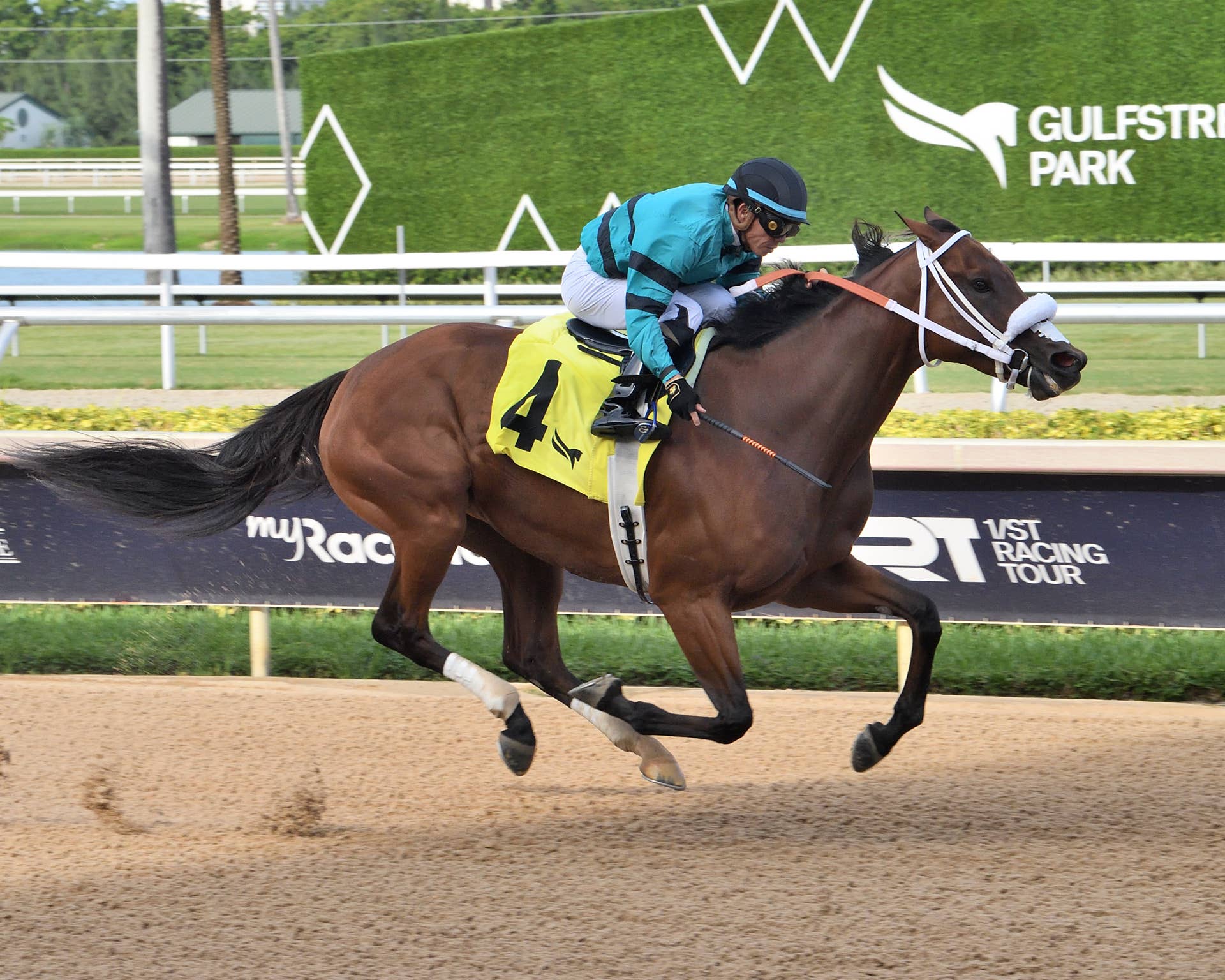 'Magnificent' Beth's Dream Brings Four-Race Win Streak Into Princess ...
