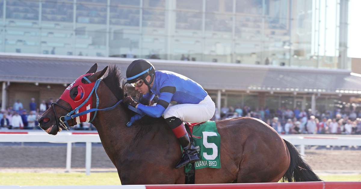 Pennsylvania Leaderboard: Fierce And Strong Takes Command Of State ...