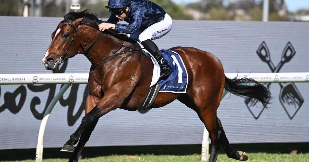 Australia: Justify Colt Storm Boy Battles Godolphin Pair - Paulick ...