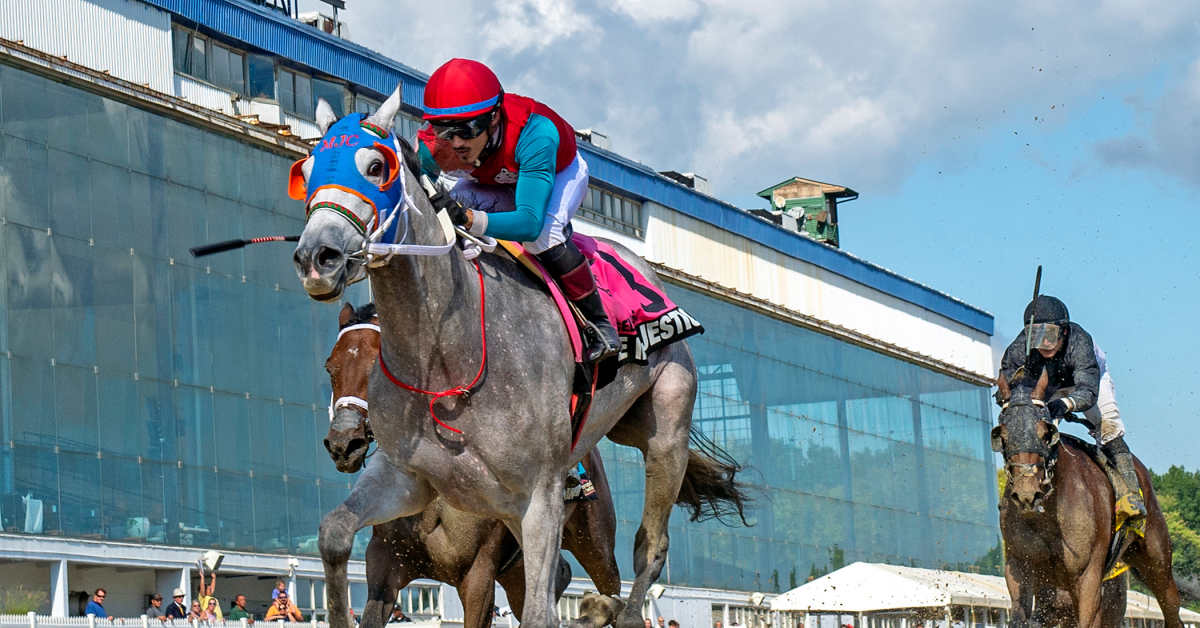 Toledo Double: Pure Majestic Wins Selima, Dean Martini Rolls In Japan ...