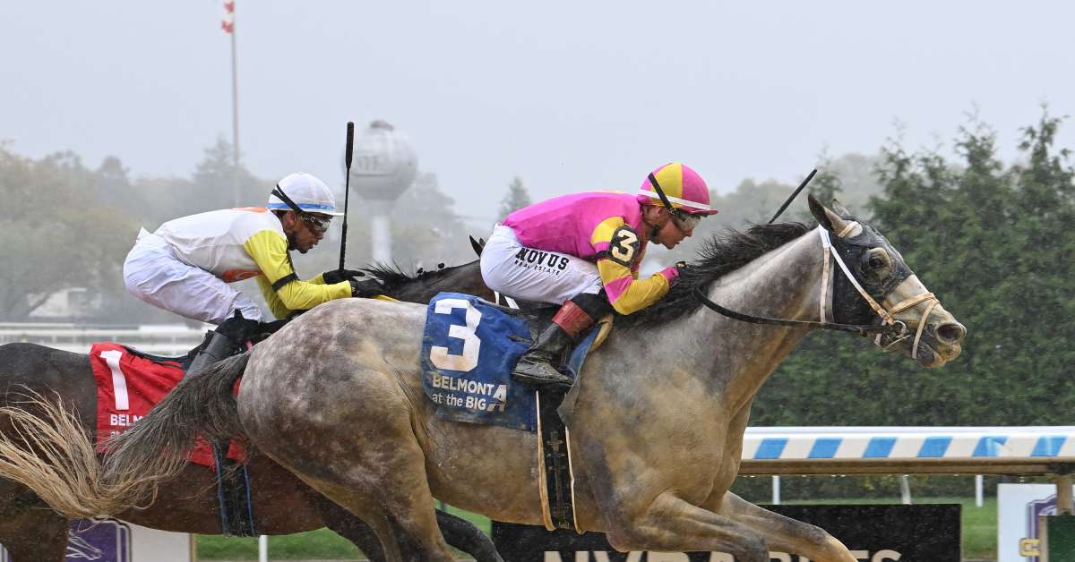 Breeders' Cup Classic Hopeful Tapit Trice Prospering In 4YO Season ...