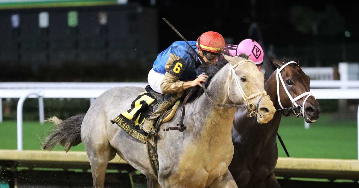 Mystik Dan, Hit Show To Square Off In Lukas Classic - Paulick Report ...