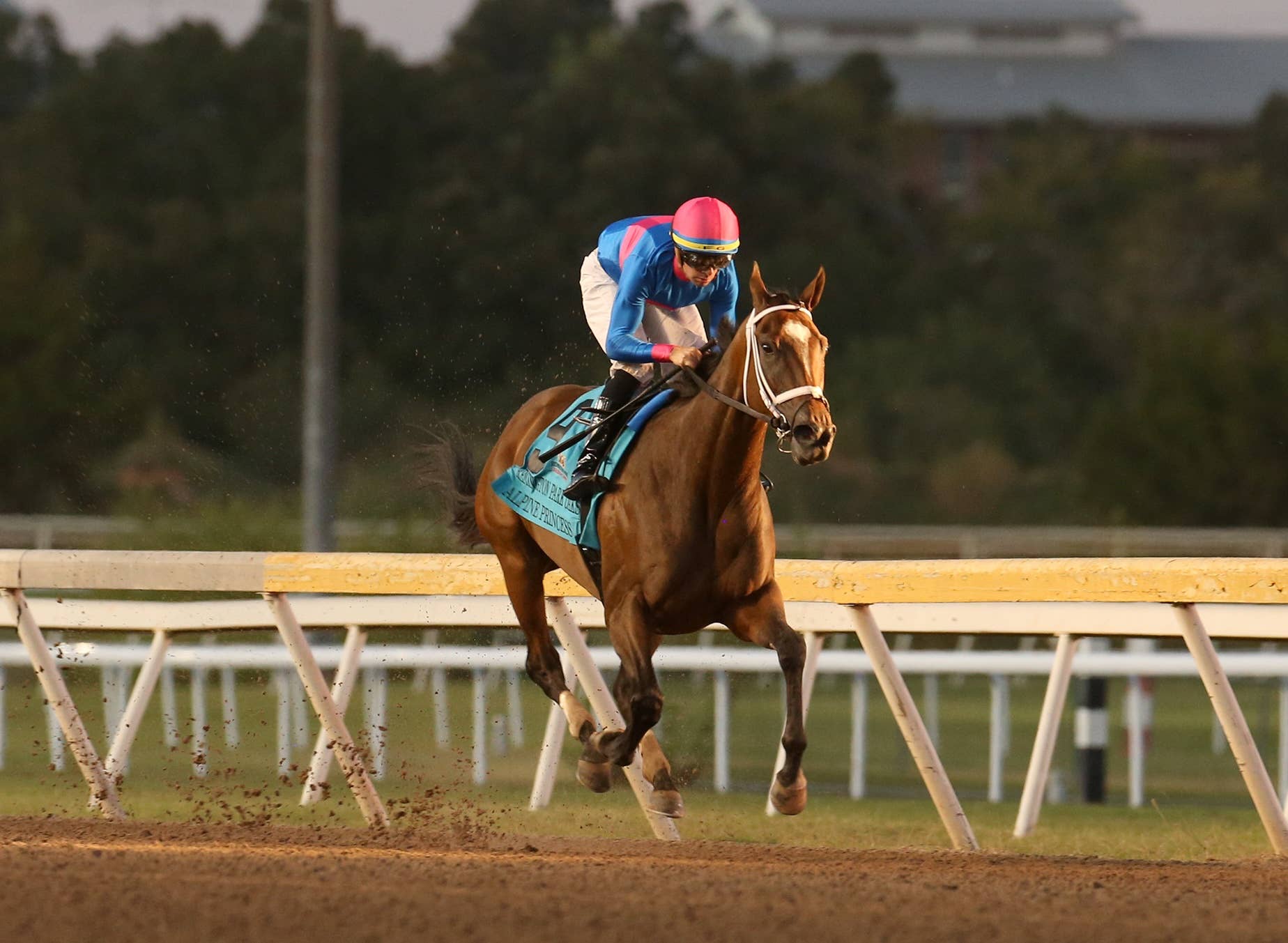 Alpine Princess Regains Winning Ways With Dominating Remington Park ...