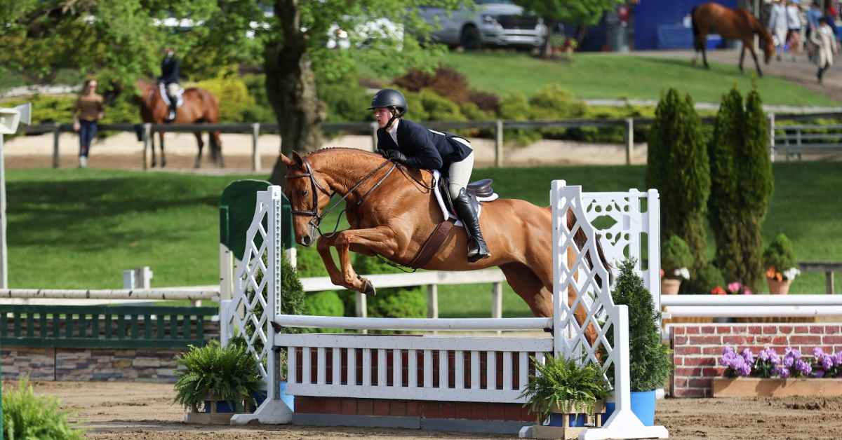 TAKE2 High-Score Hunter Suntory Time Is Ready For His Close-Up ...