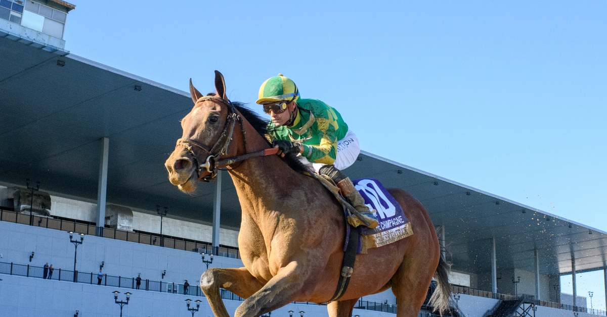 Chancer McPatrick Keeps Record Perfect In 'Win & You're In' Champagne ...