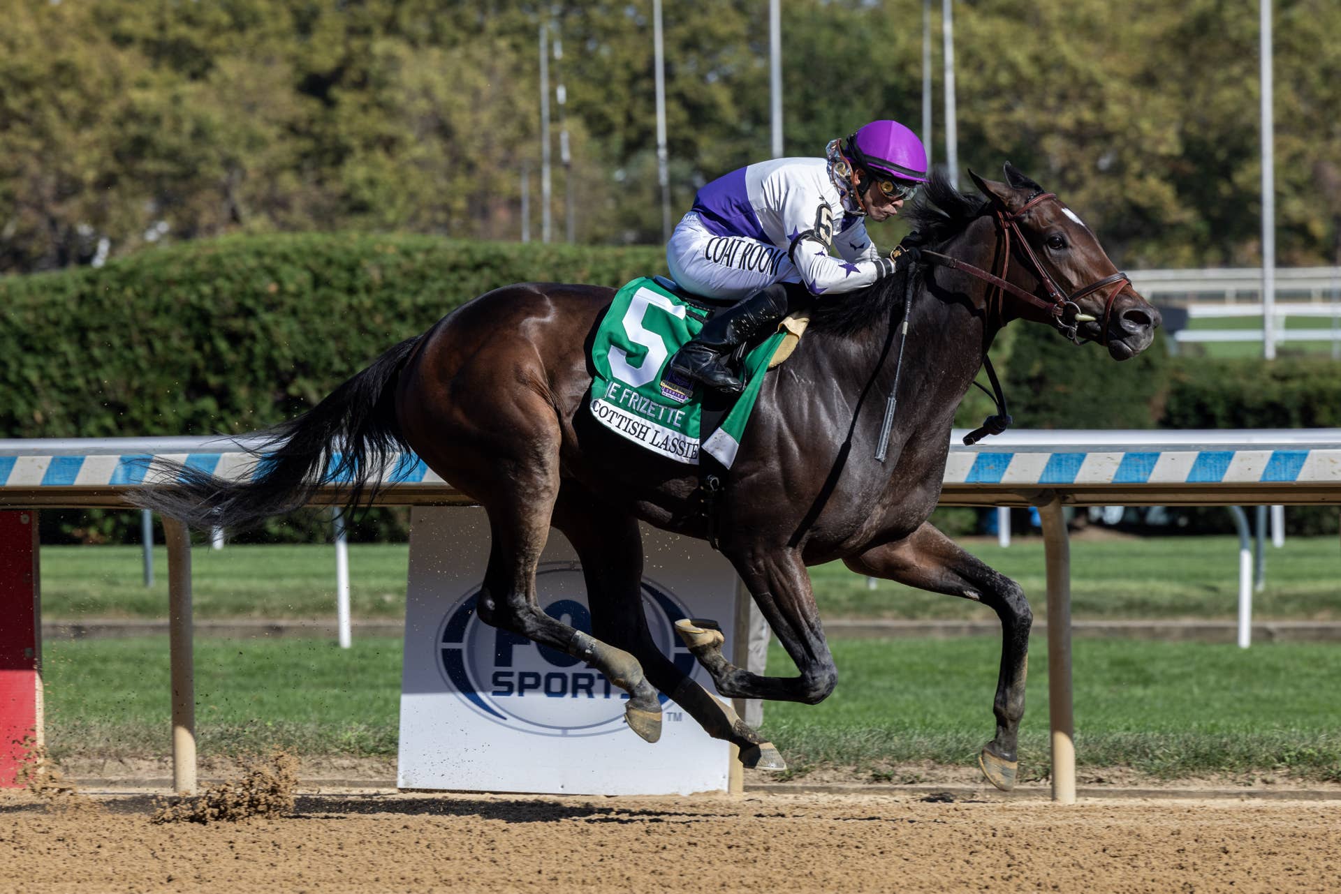 Scottish Lassie Earns Maiden Diploma In Grade 1 Frizette - Paulick ...