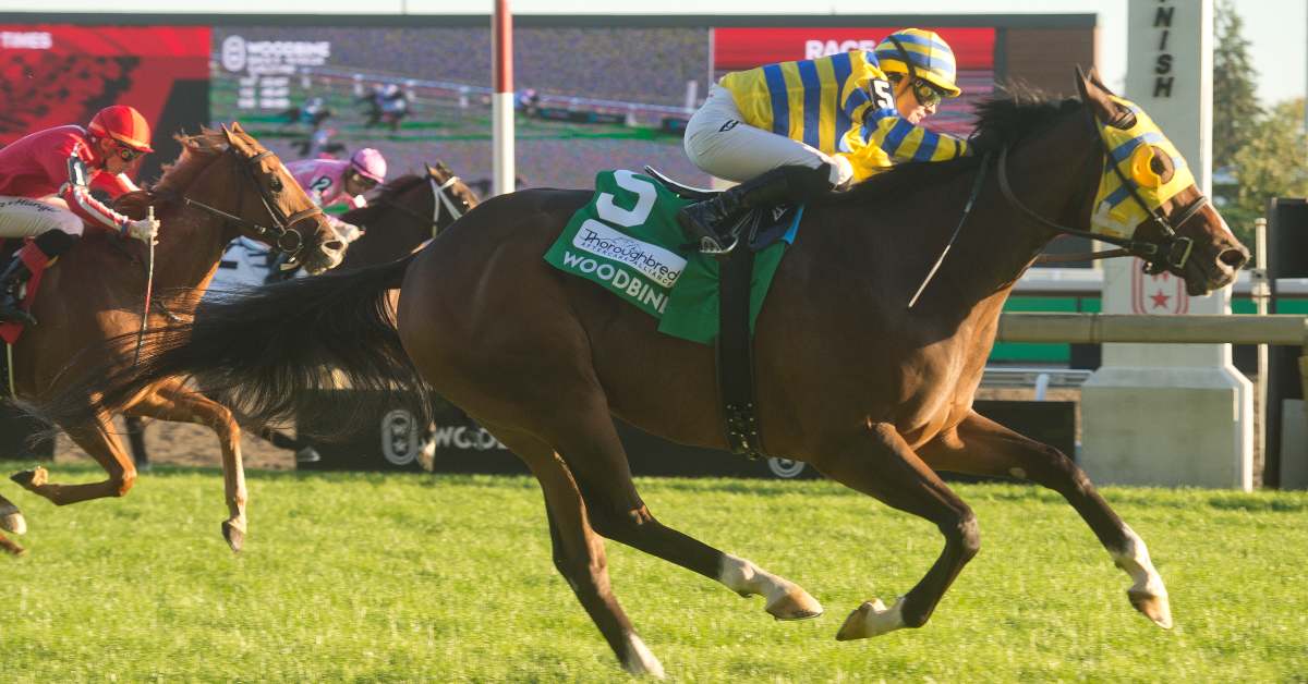 Gutsy Patches O’Houlihan Re-Rallies For Nearctic Triumph - Paulick ...