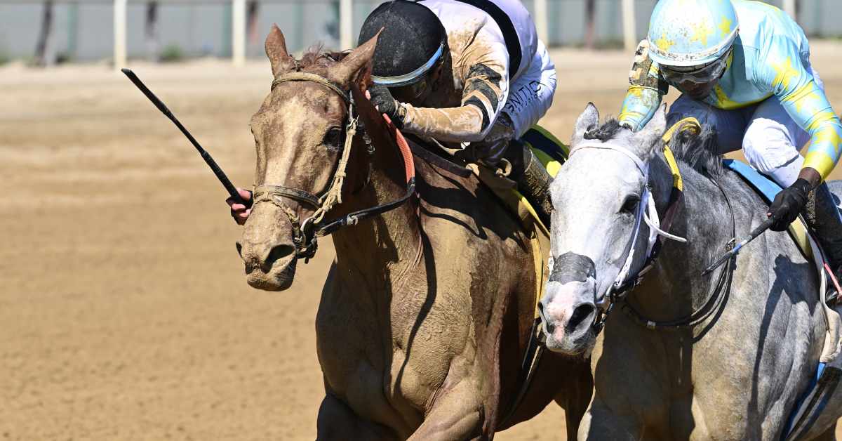 Raging Sea Digs Down Deep For Beldame Victory - Paulick Report | Latest ...