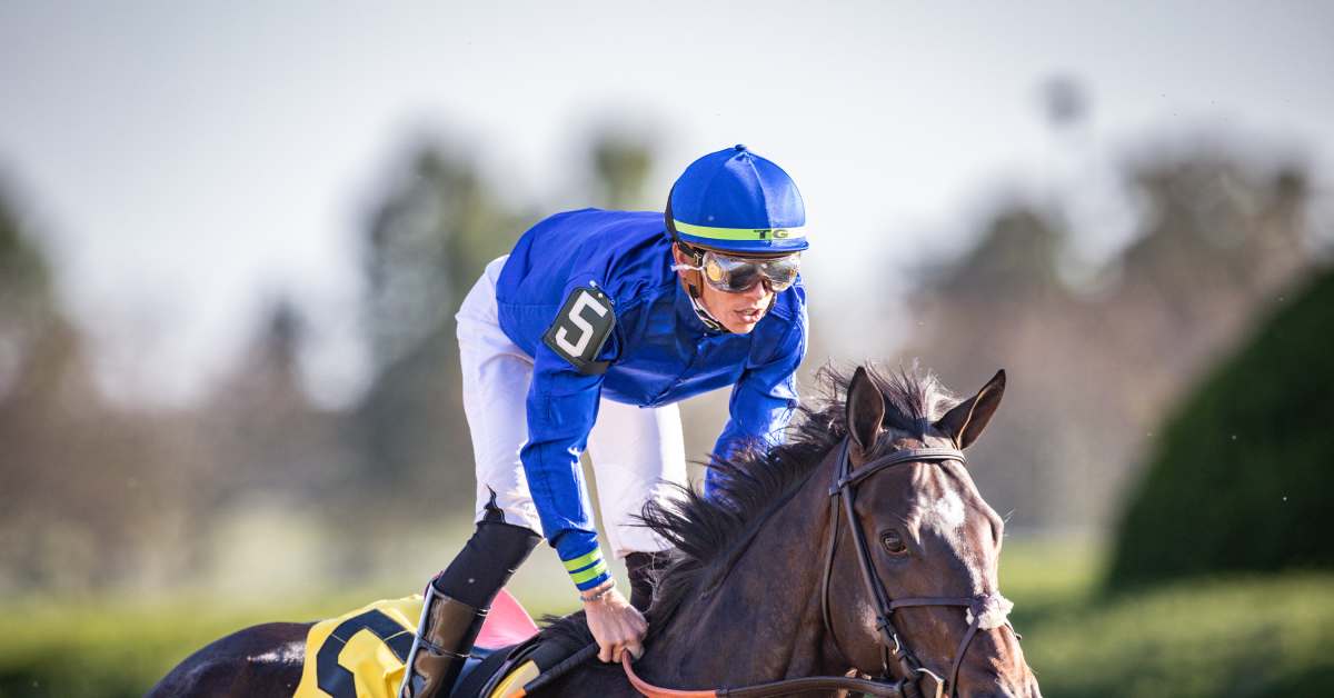 East Avenue, Immersive Top Early Louisiana Derby Nominations - Paulick ...