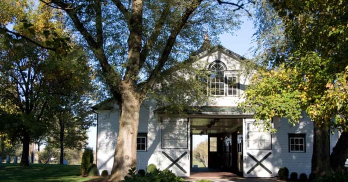 The 2025 Breeding Season Exit Survey: Part 3 - Spendthrift Farm, Taylor ...