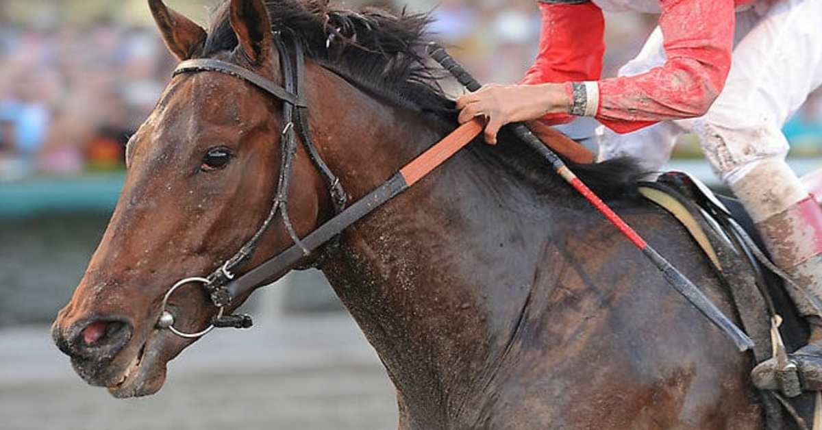 Hall Of Famer Prefers To Use 'Comfortable' Loose-Ring Snaffle Bit ...