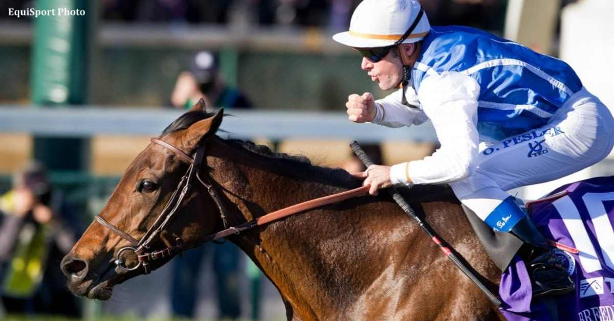 Three-Time Breeders' Cup Mile Winner Goldikova Inducted Into British Hall Of Fame - Paulick ...