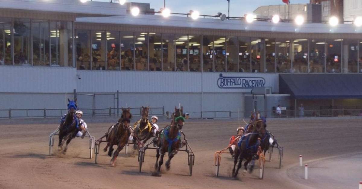 Barn At Buffalo Raceway Quarantined For EHV-1 Exposure - Paulick Report ...