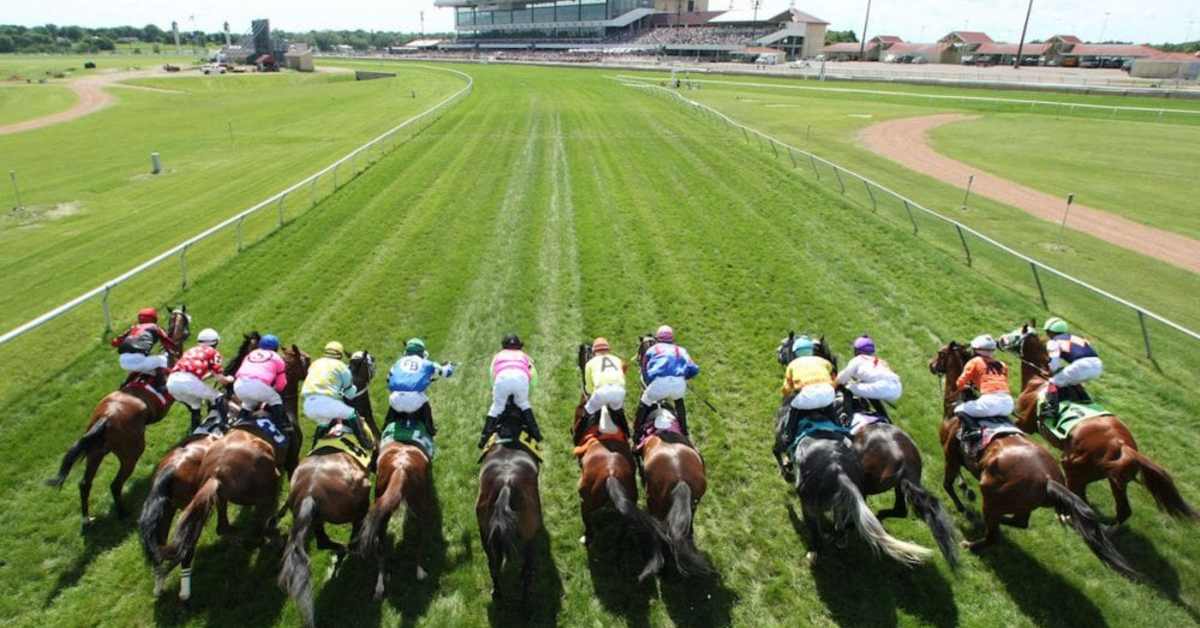 Canterbury Park's Northern Stars Turf Festival Features Three Grass ...
