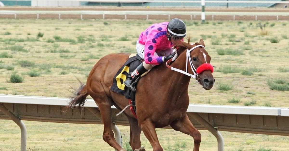 As Time Ticks Down, Rushton Still Hoping For Live Meet At Arapahoe ...