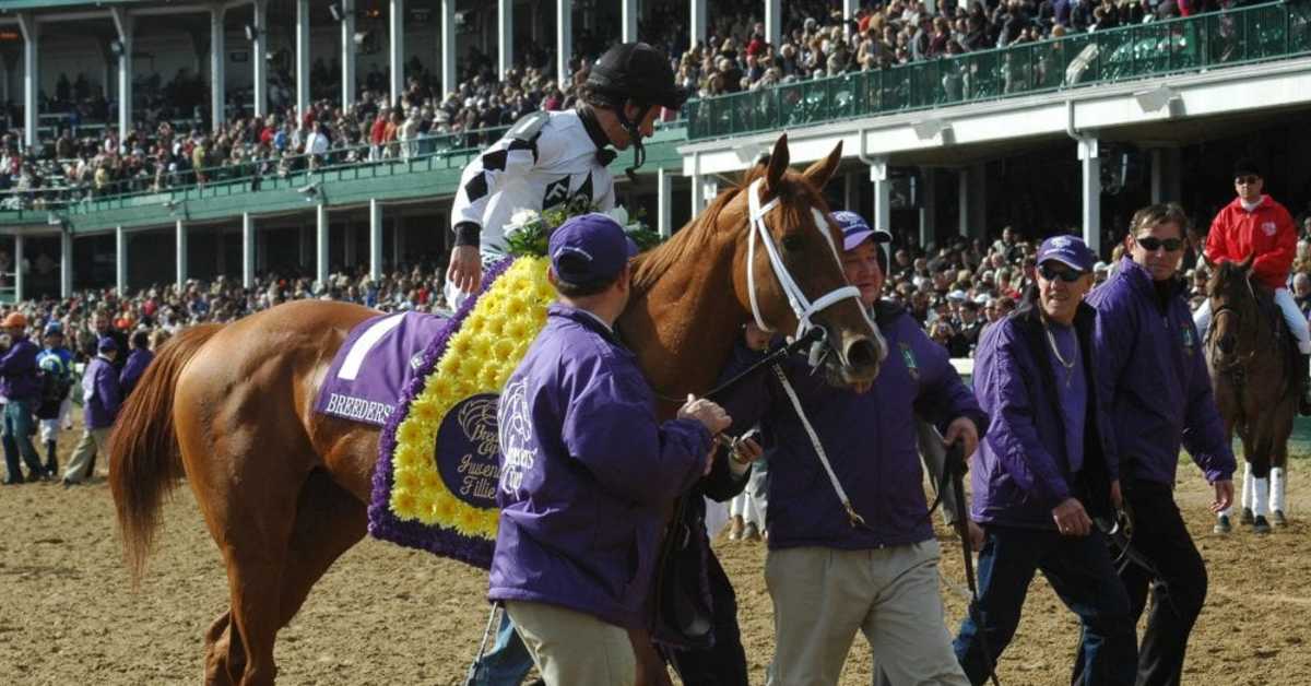 Frank Calabrese, Owner-Breeder Of Champion Dreaming Of Anna, Passes At ...