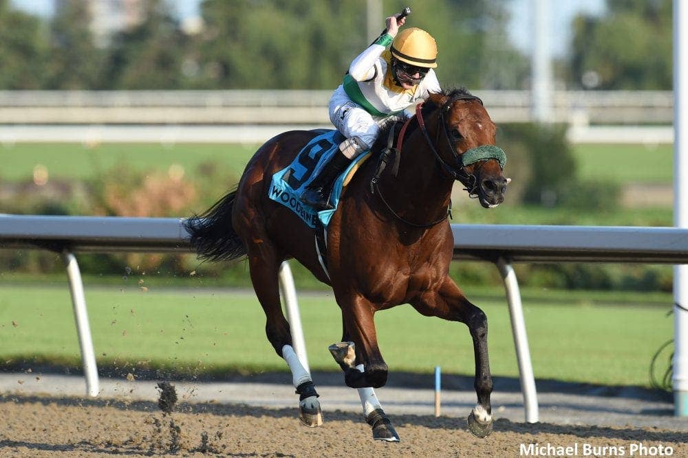 Yorkton Comes Home To Ontario, Moves To Adena Springs For 2026 ...