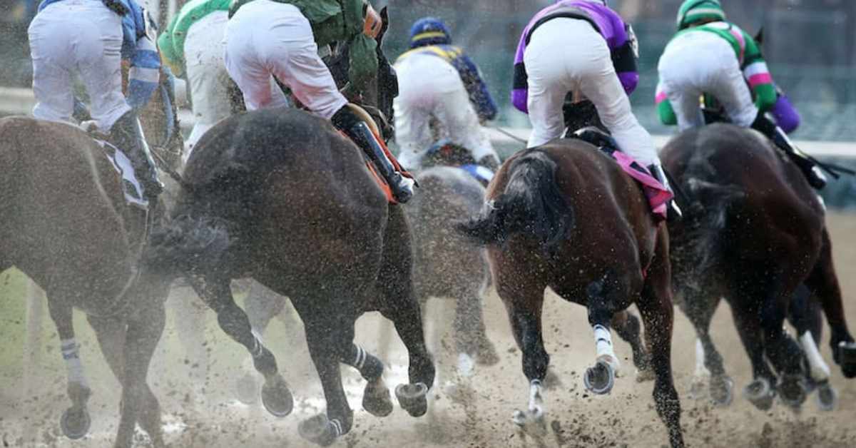 Weekend Lineup Presented By Laurel Park: Preakness Preview Day ...