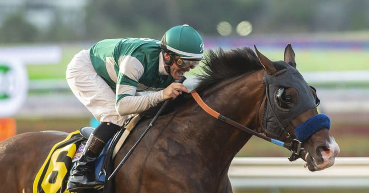 First Winner For Medaglia d'Oro Stallion Higher Power - Paulick Report ...