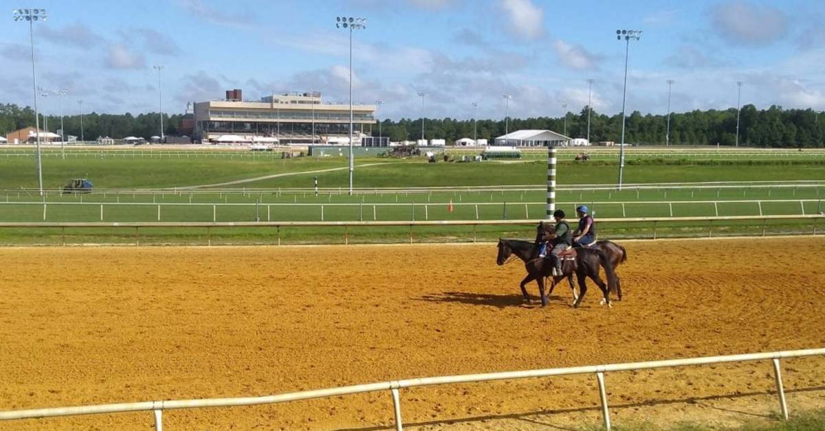 Watch: Best Known For Turf, Virginia Derby Will Showcase Dirt Track's ...