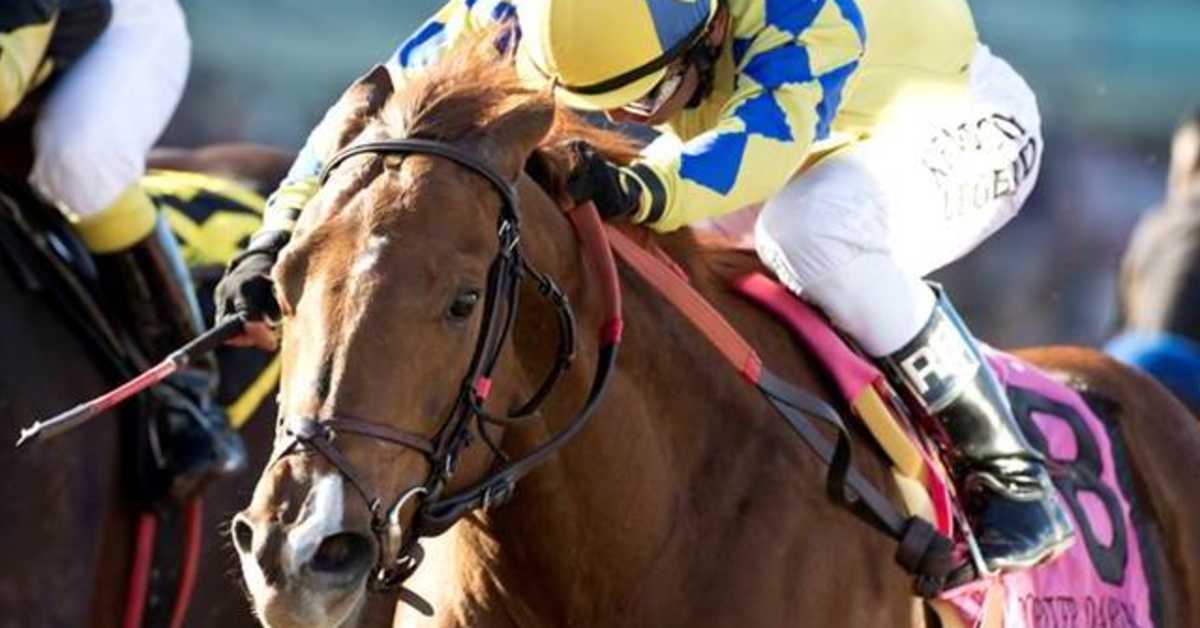 Book 6 Stars Presented By Keeneland: Forever Darling's Monumental Run ...