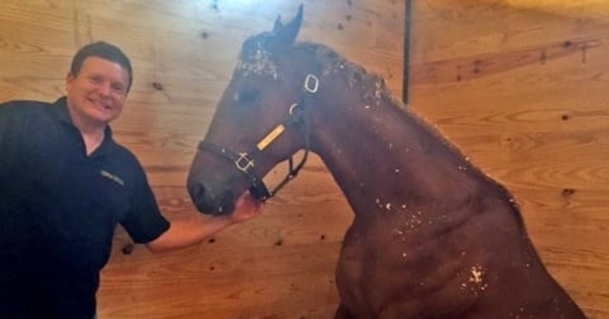 The Player Gelded; Buff Bradley Hopes To Secure Spot At Kentucky Horse ...