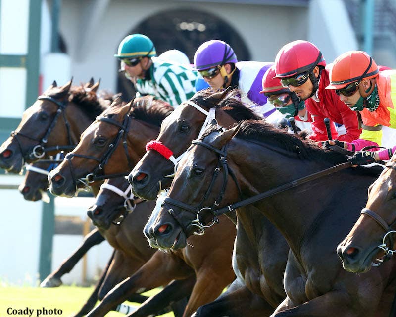 Telethon Supporting Permanently Disabled Jockeys Fund Set For April 19 ...