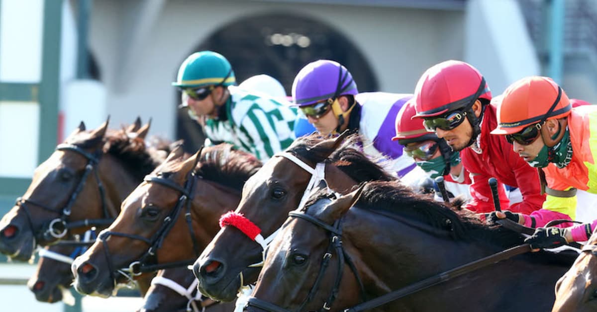 HISA Announces Members For Medical Advisory Committee On Jockey Health ...