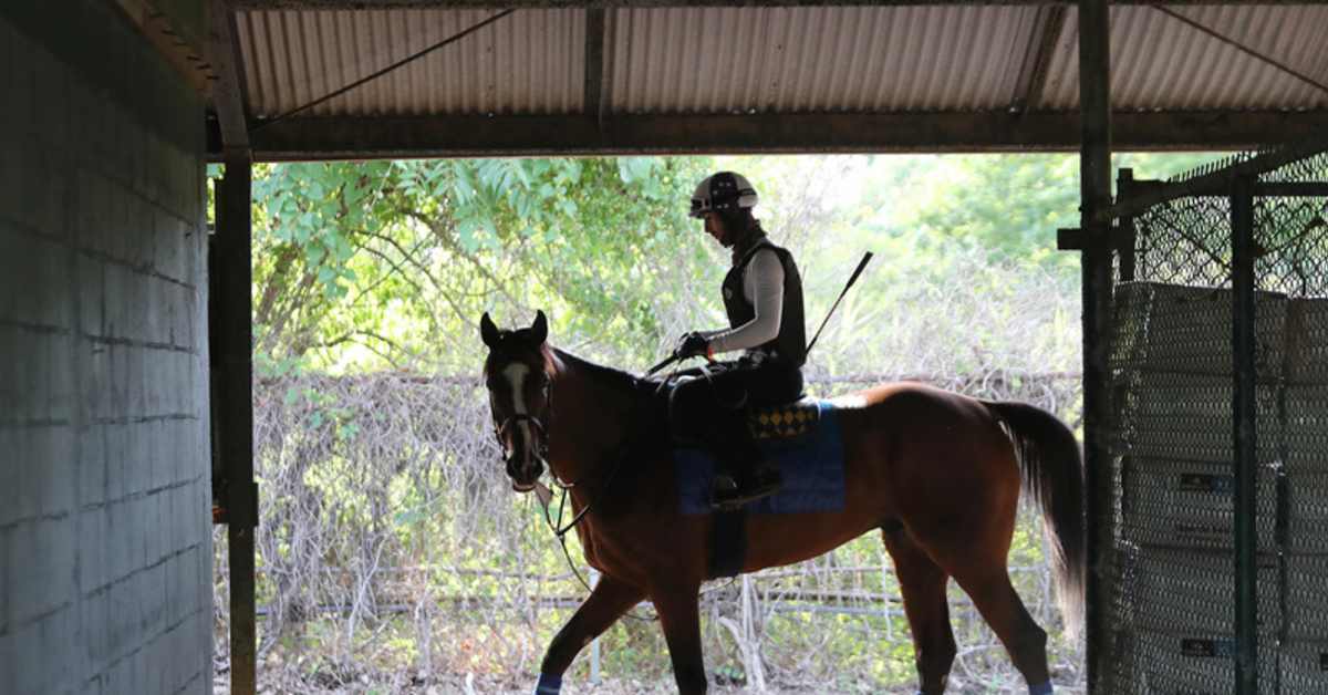 Jockey Ramon Moya Taking Gen Z For A Ride In The Mornings - Paulick ...
