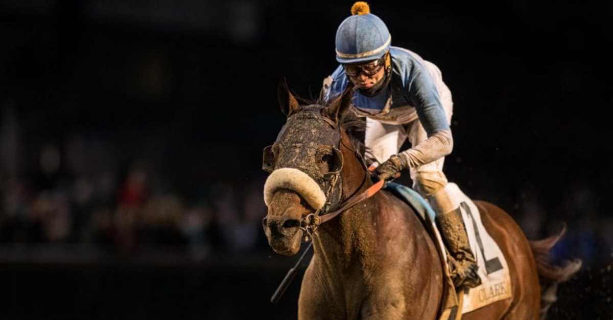 Goosebumps First Winner For Tom’s d’Etat - Paulick Report | Latest news ...