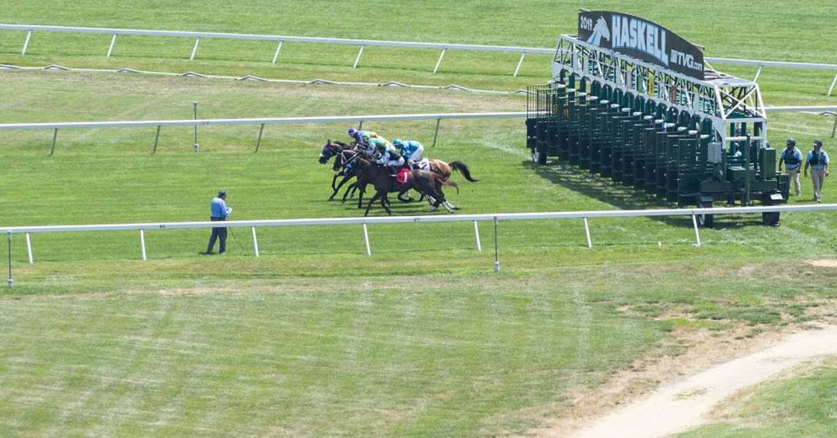 Haskell Handicapping Challenge Returns - Paulick Report | Latest news ...