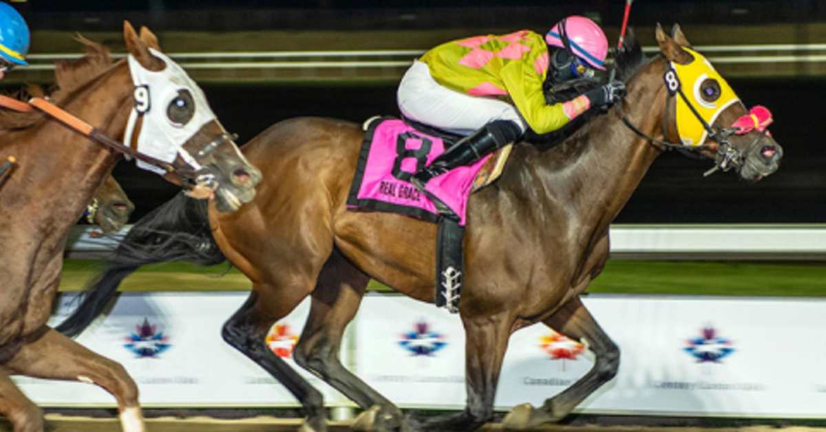 ‘It’s A Lot Of Fun': Owner Randy Howg Chasing Third Canadian Derby Win ...