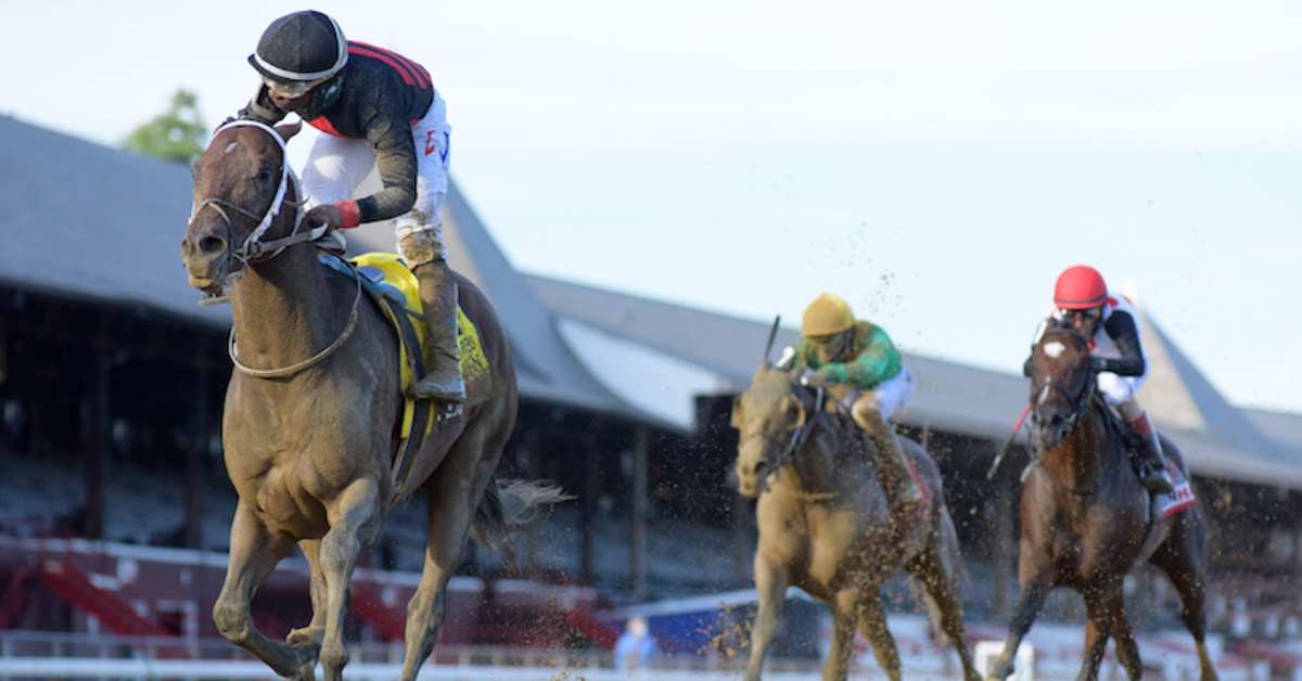 Echo Town Sold, To Stand In Arkansas Beginning In 2026 - Paulick Report ...