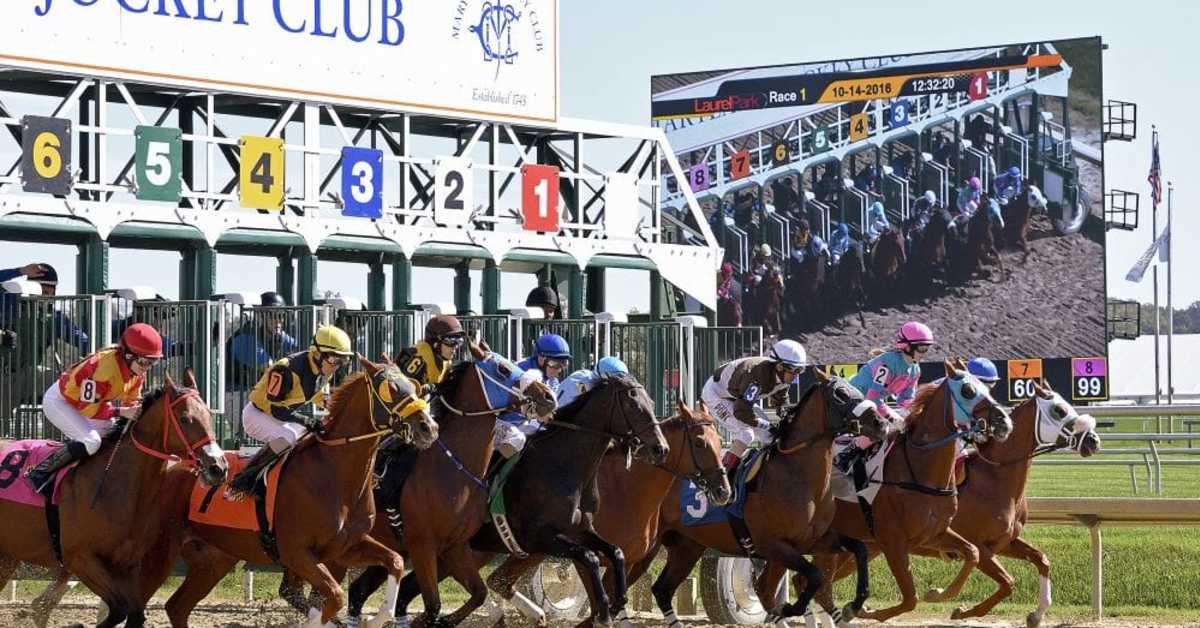 Laurel Park To Host Preakness Preview Day Handicapping Challenge ...