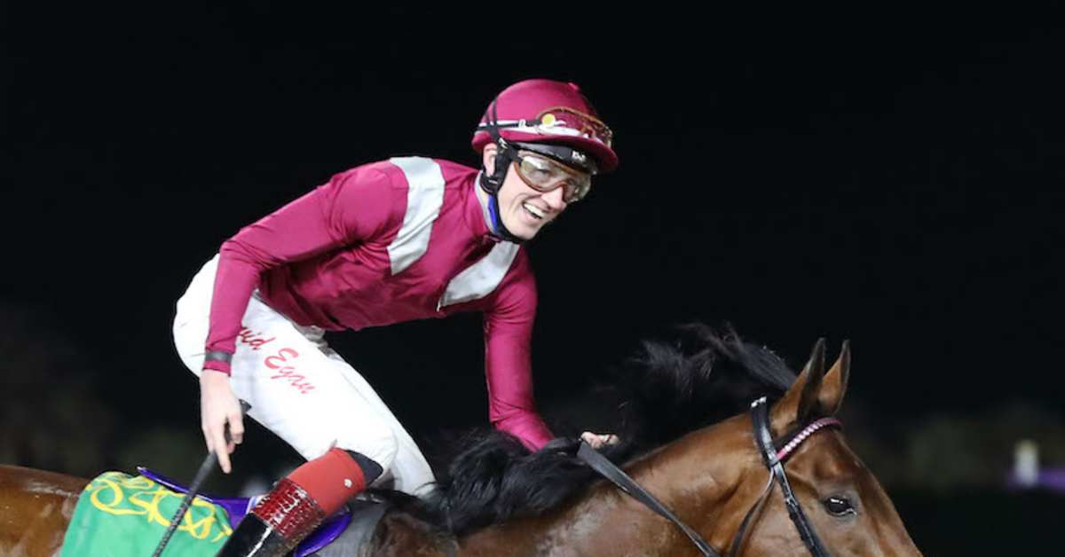 First Mares Scan In Foal To Trio Of Sumbe Newcomers - Paulick Report ...