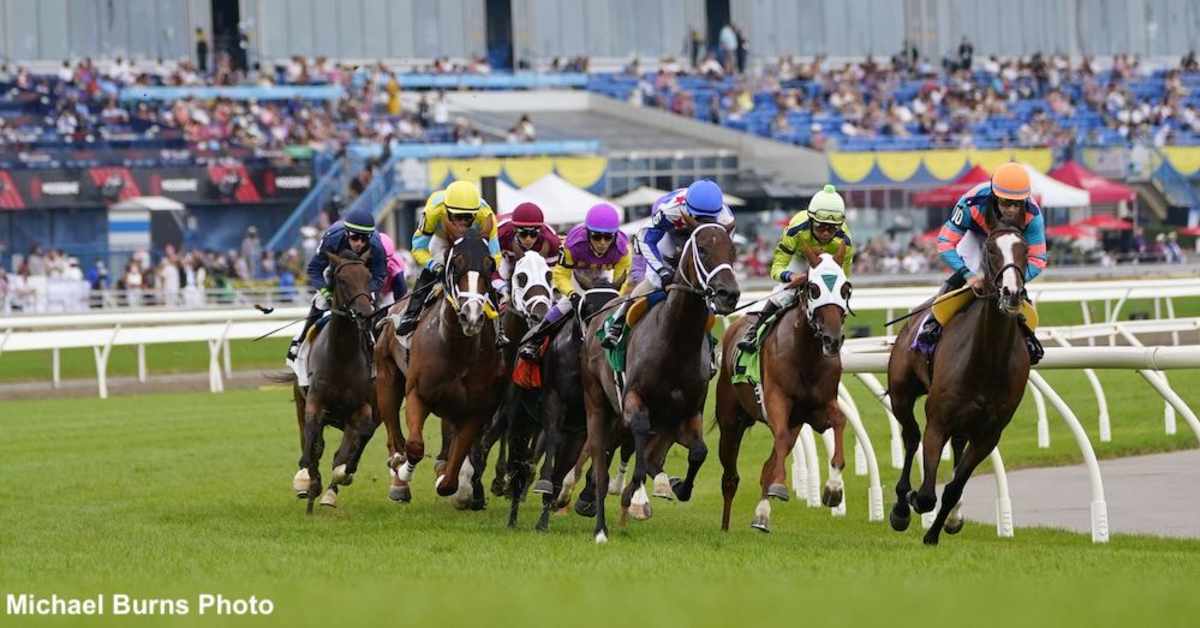 Woodbine's Turf Champions Day Sees 9 Percent Increase Over 2023 ...