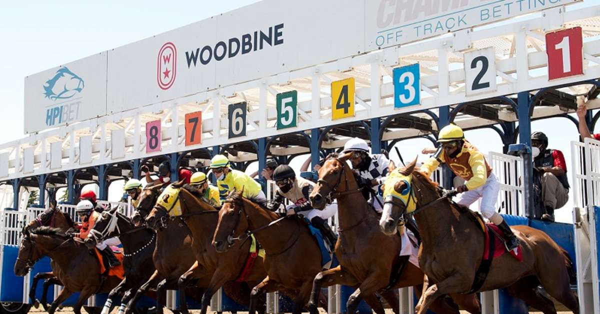 Jockeys Justin Stein, Edgar Zenteno Recovering From Injuries Following ...