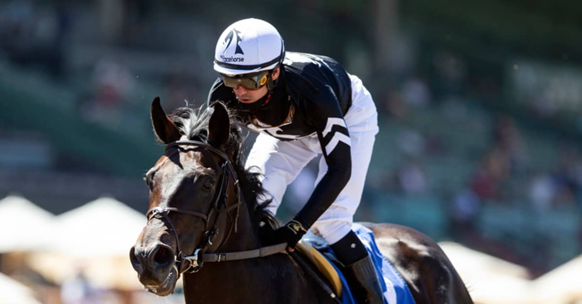 California Stallion Tizamagician Changes Hands, Will Remain at Milky ...