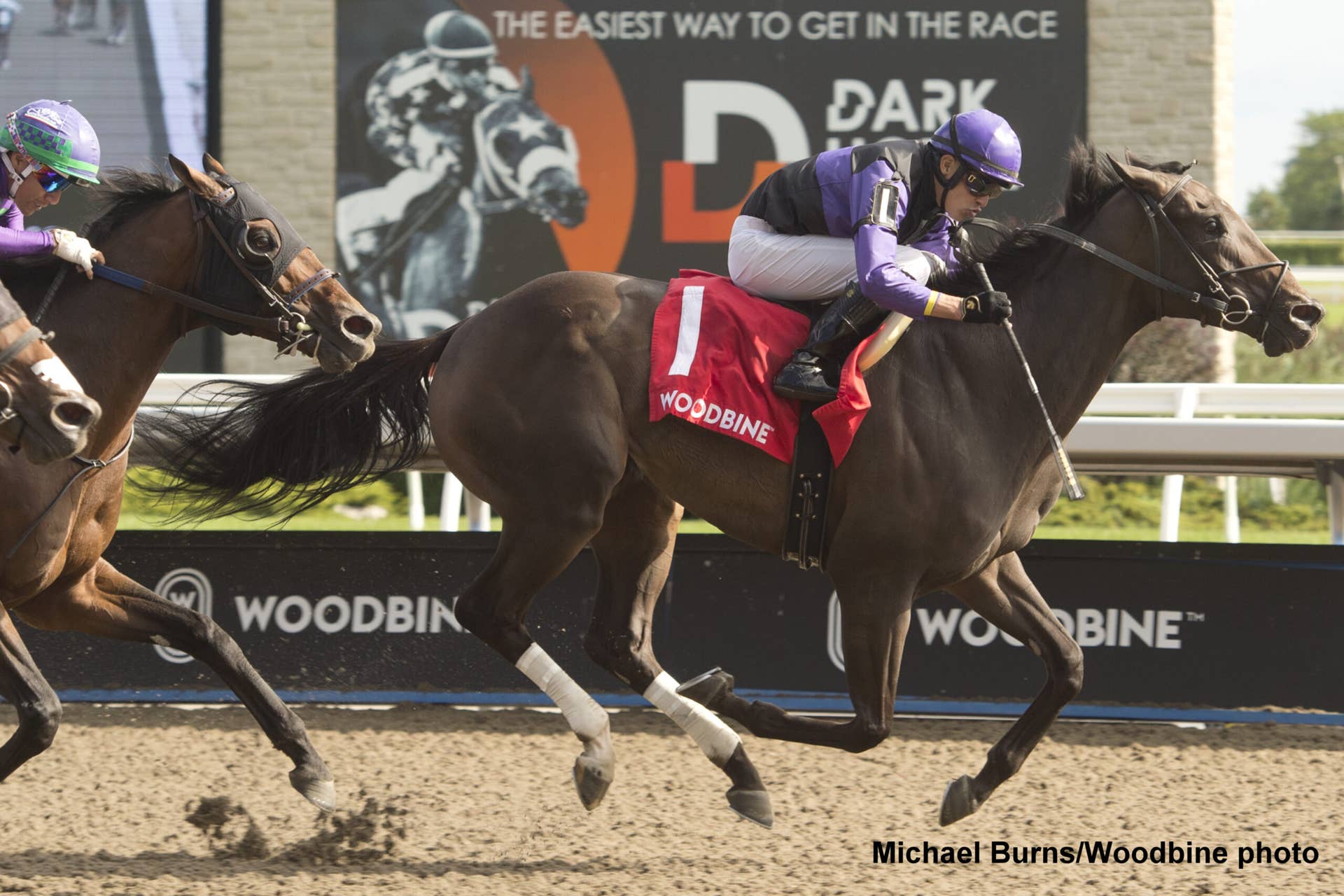 Jockey Eswan Flores To Ride At Oaklawn Park - Paulick Report | Latest ...