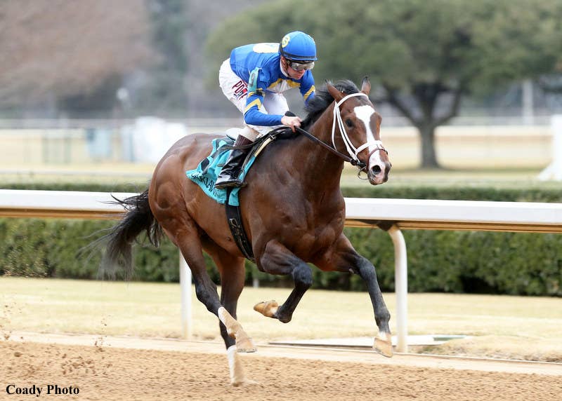 Kentucky Derby Runner Zozos Retired To Equistar Training And Breeding ...