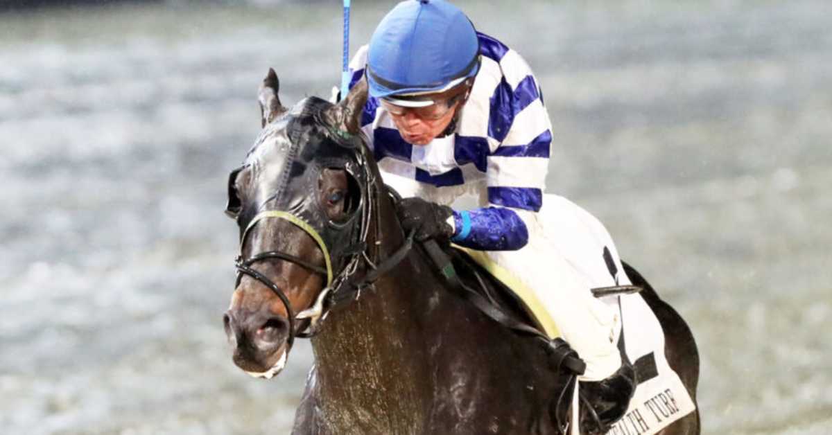 Millionaire Trademark Makes 2025 Debut on Haskell Preview Day - Paulick ...