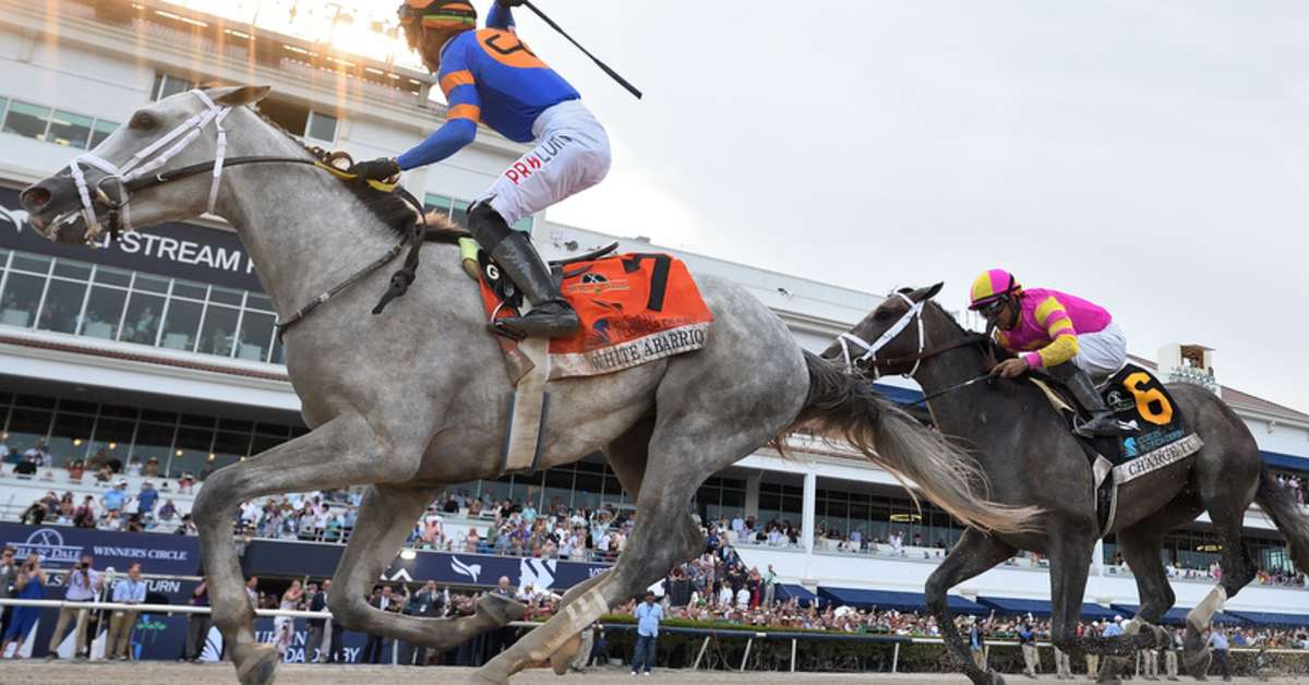 With An Eye Toward Pegasus World Cup, White Abarrio Comeback Continues ...