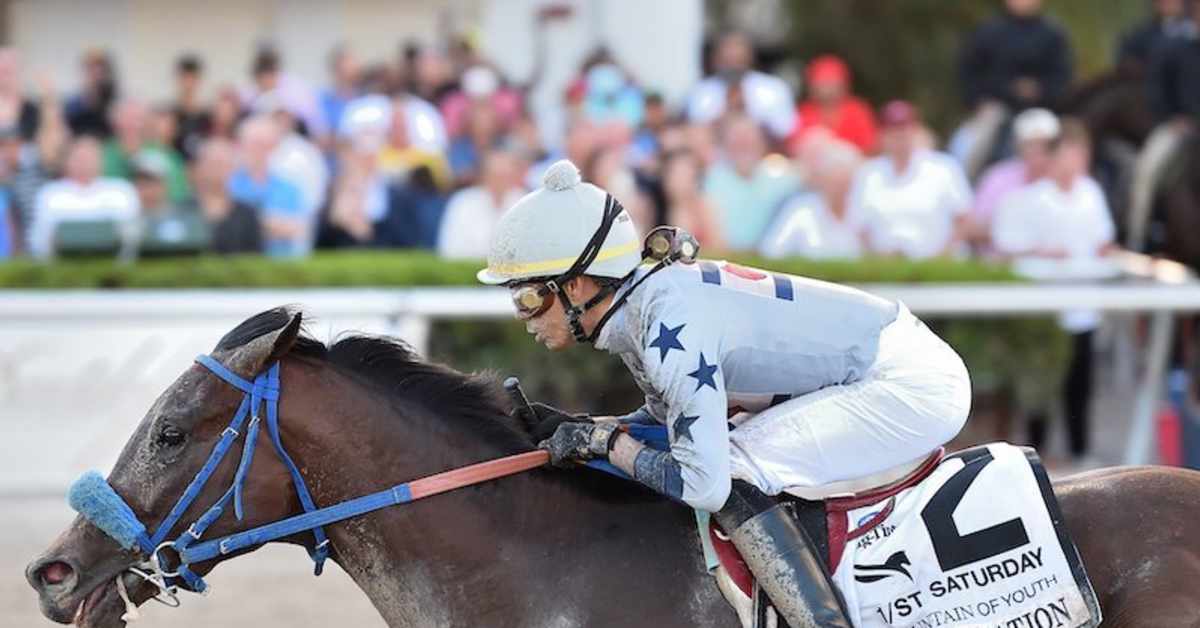 Florida Stallions Simplification, Verifying Shuttling To Argentina For ...