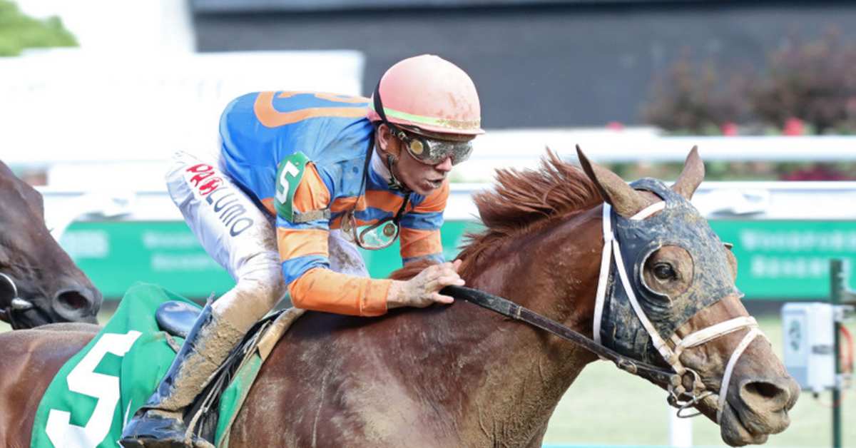 'We Owe Him A Good Retirement': Kentucky Derby Runner Dynamic One ...