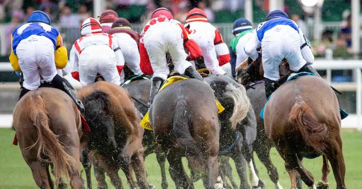 NTRA: 'HISA Has Been A Clear Game Changer For Thoroughbred Racing ...