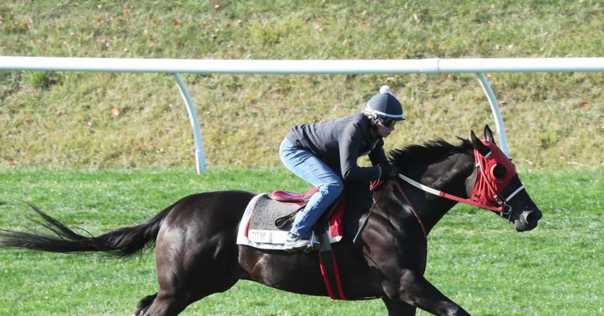 Oaklawn Scratches Trainer Tim Martin's Entries After Morning Fatalities ...