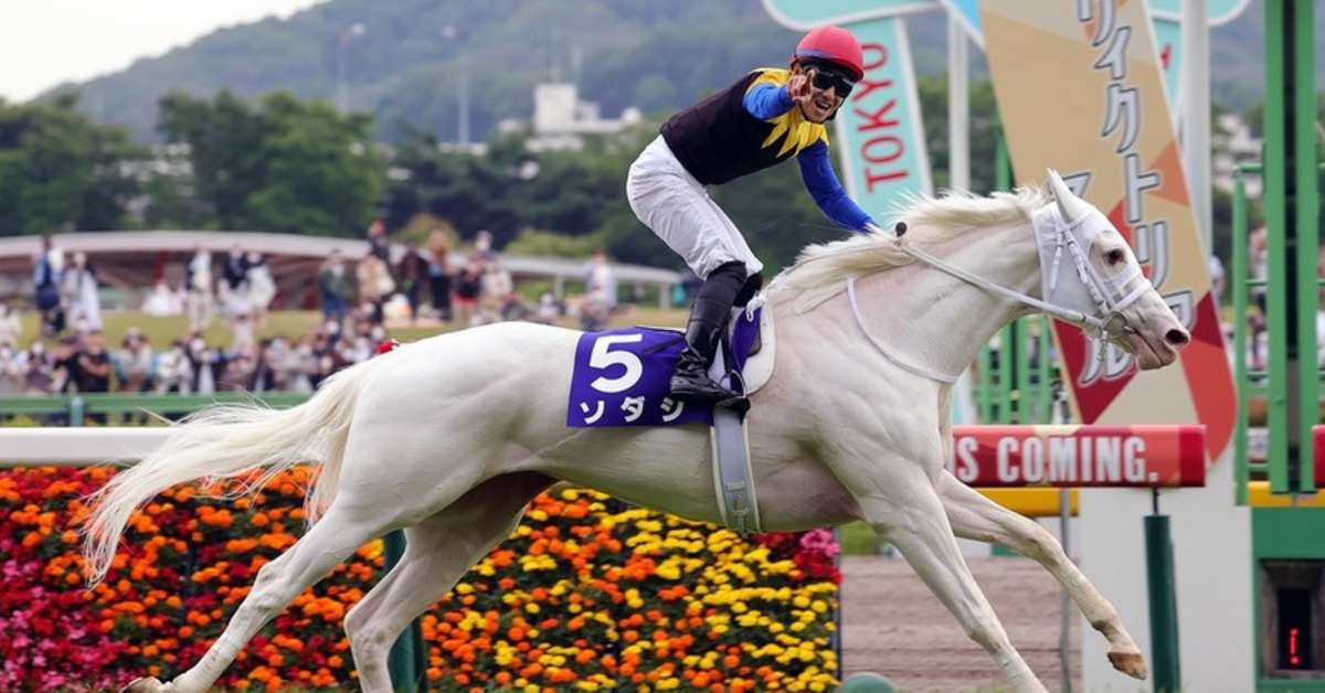 Déjà Vu: Sodashi’s White Half-Sister Marga Impresses On Debut - Paulick ...