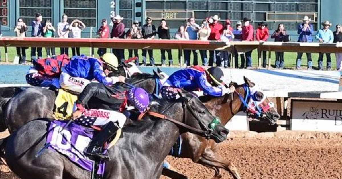 ‘Everyone Wants A Witch Hunt’: Stewards Overturn Summary Suspension ...