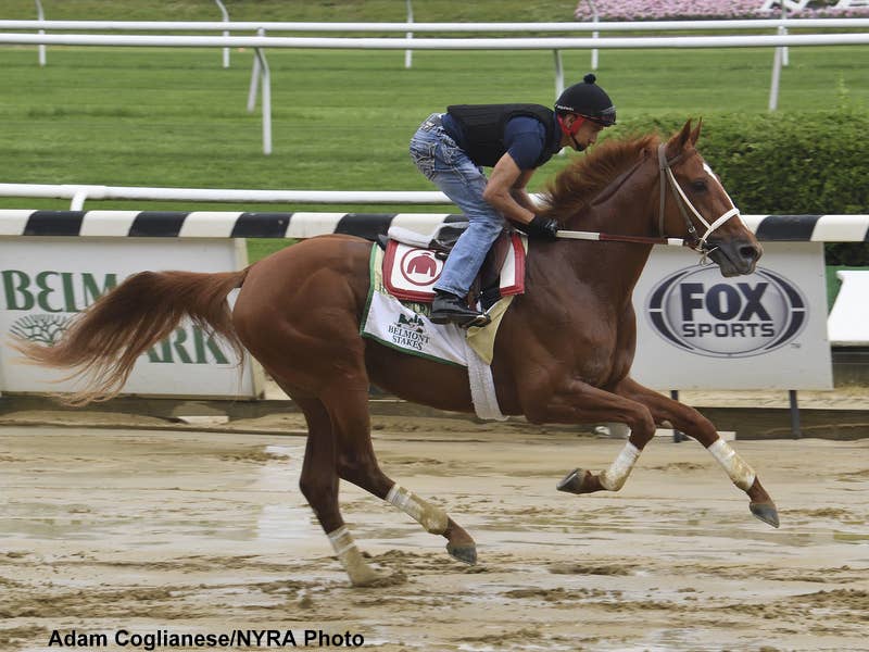 'Baby Steps': Bill Mott Pleased With Rich Strike's Early Training ...