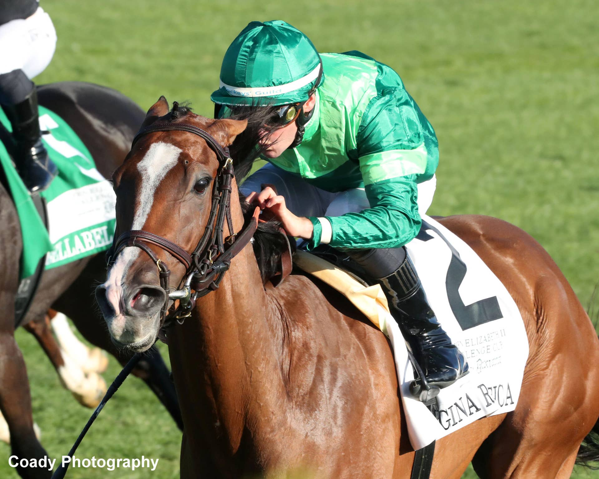 Chad Brown Sends Quartet To Extend Masterful Record In Jenny Wiley ...